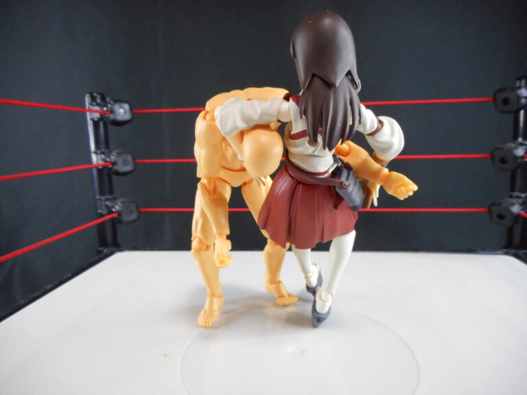 DDT – プロレス技をフィギュアで遊ぶブログ