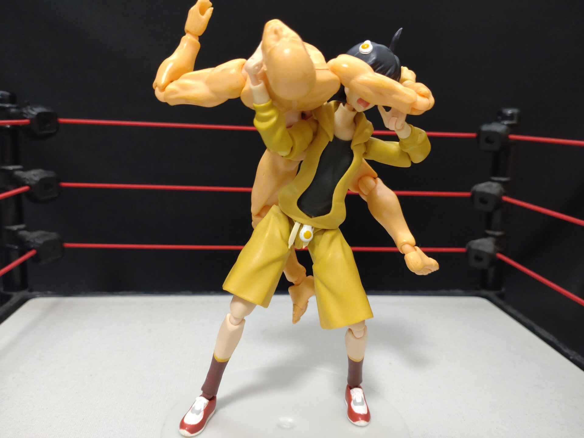 DSC_2755 – プロレス技をフィギュアで遊ぶブログ
