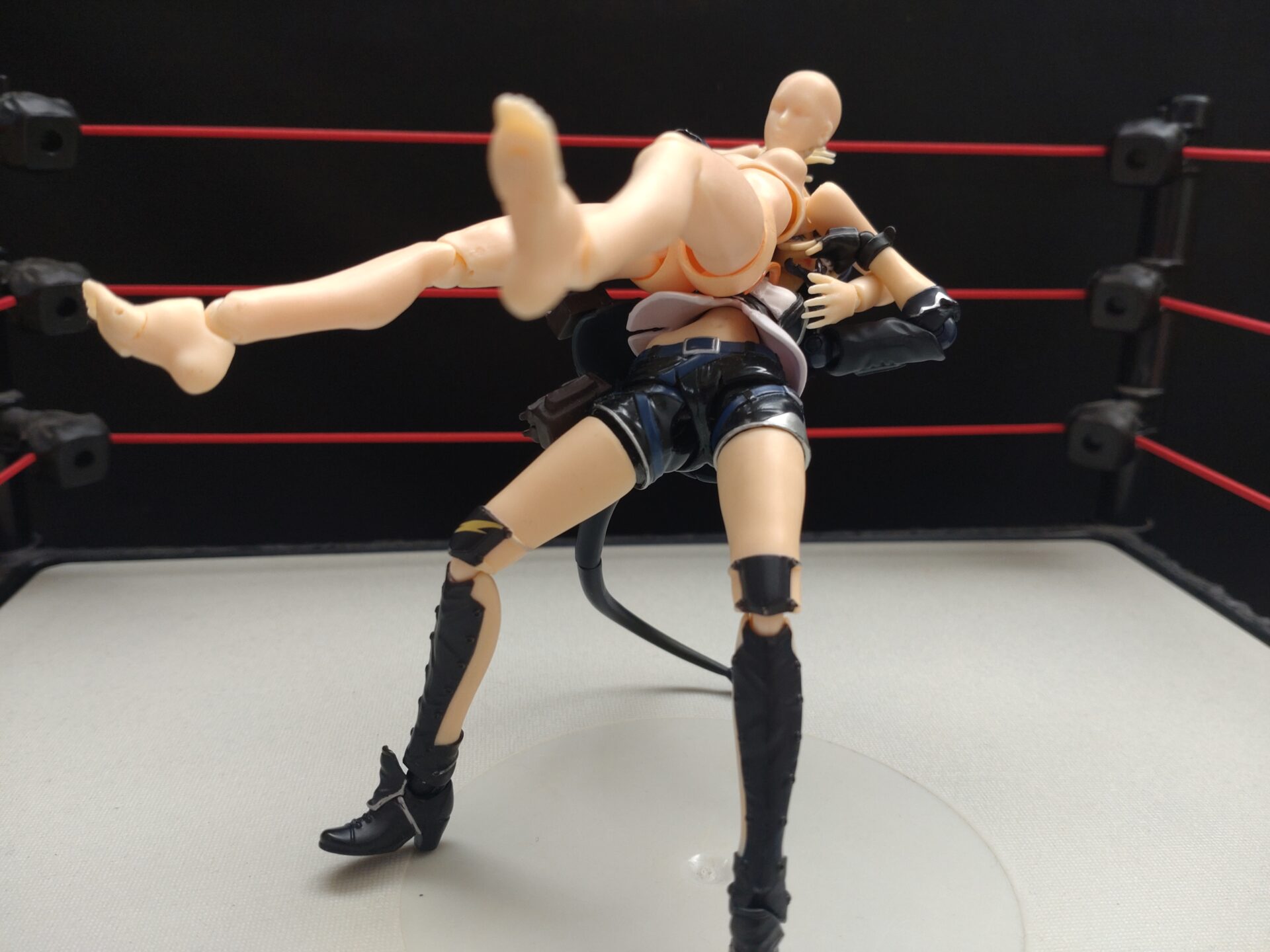 DSC_0850 – プロレス技をフィギュアで遊ぶブログ